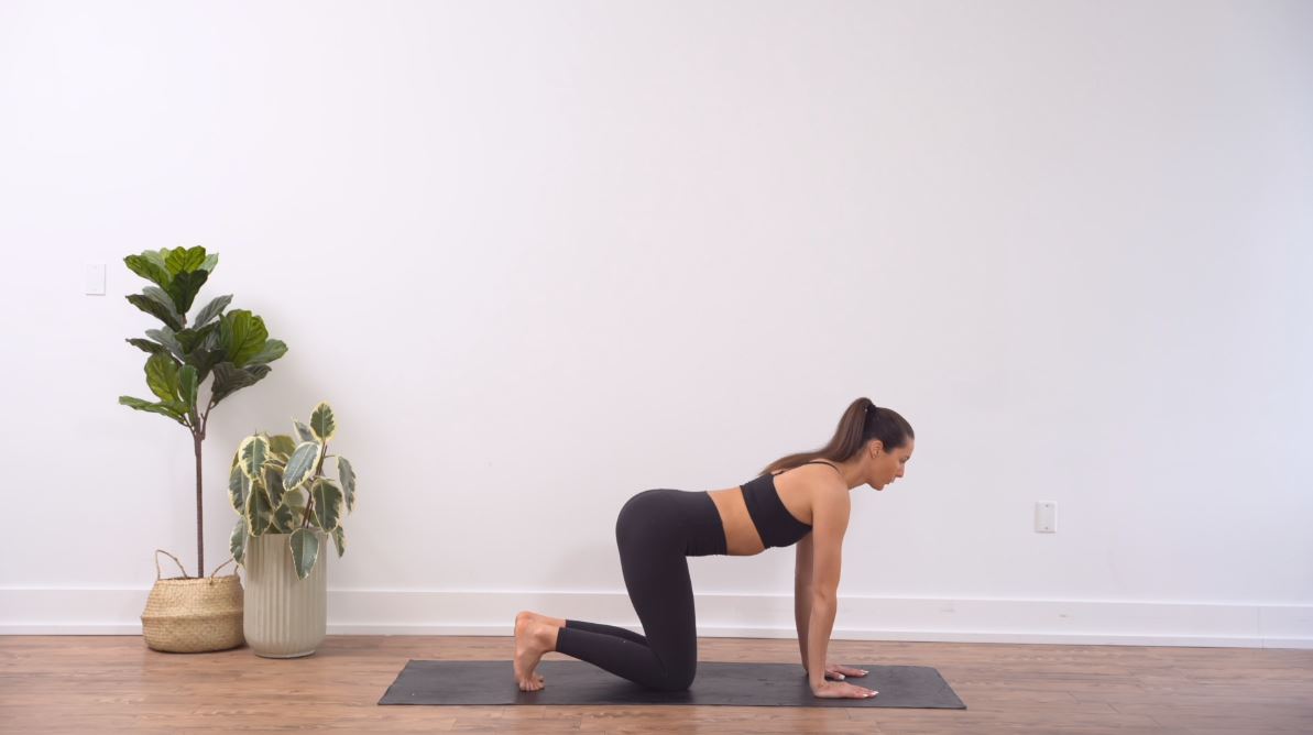 Boost Your Glutes: Fire Hydrant Left Leg Lifts | Armygymnastics ...